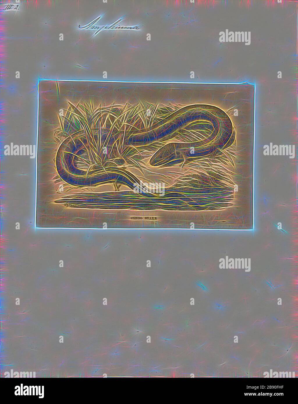 Snakes within snakes hi-res stock photography and images - Alamy