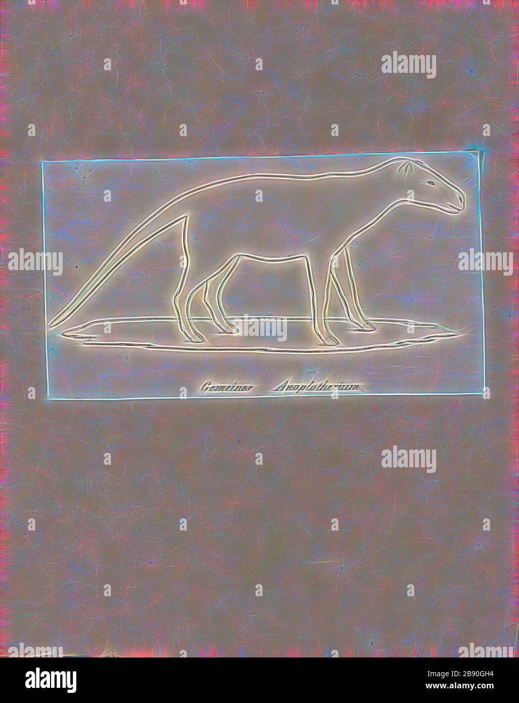 Anoplotherium commune, Print, Anoplotherium is an extinct genus of ...