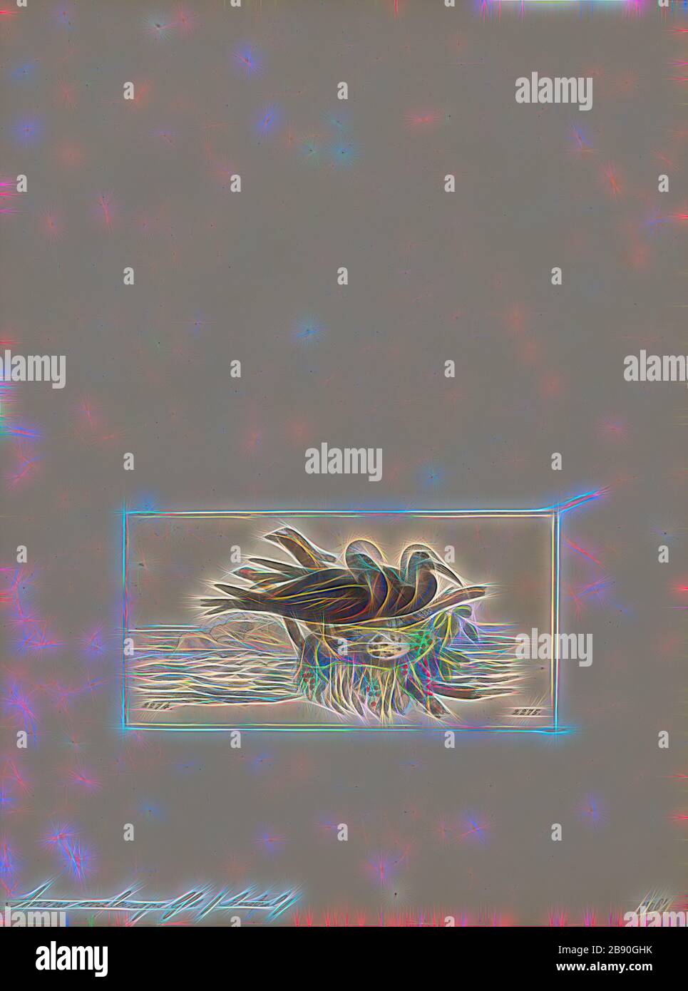Anous melanops, Print, Anous is a genus of seabirds in family Laridae ...