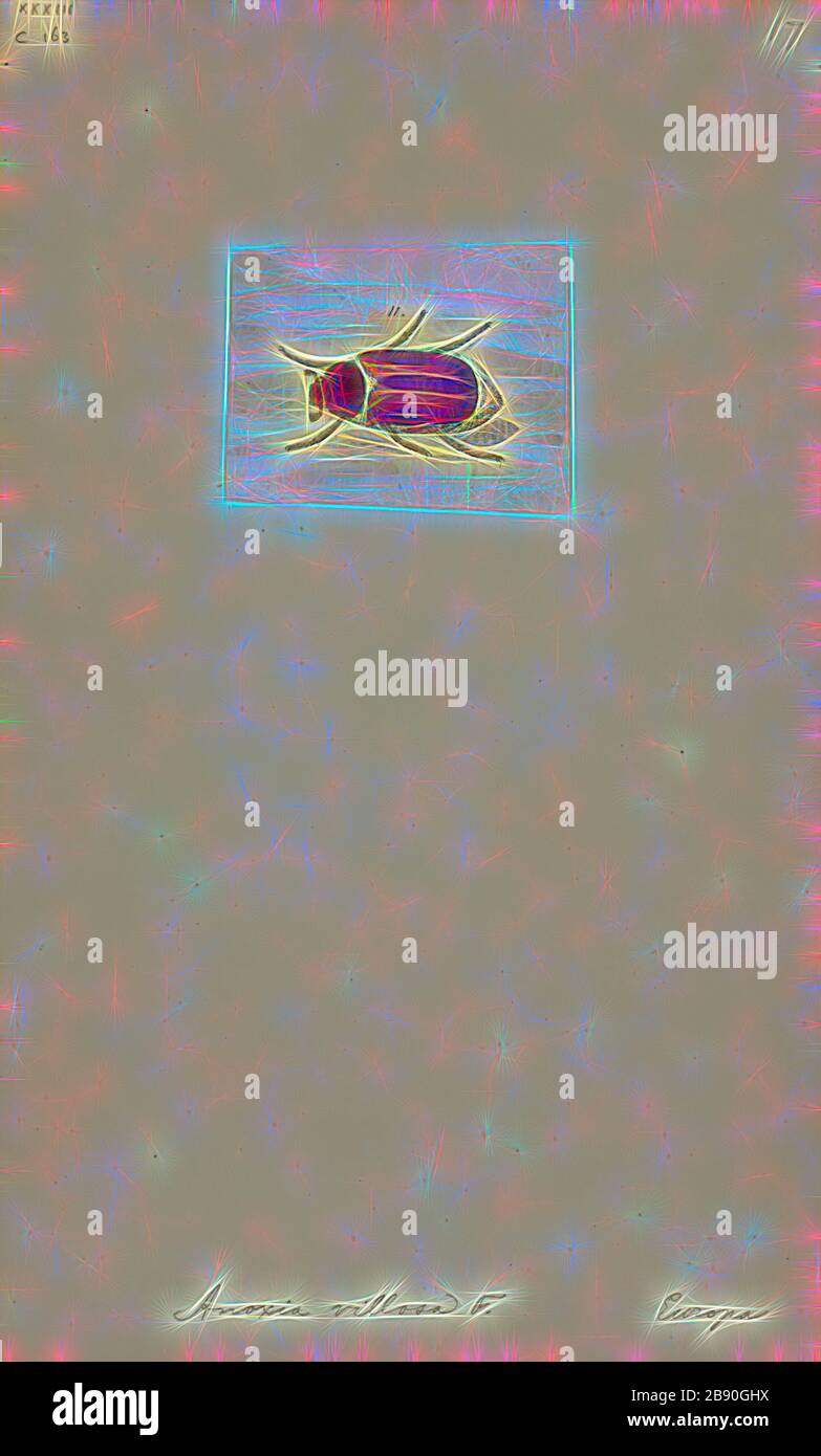 Anoxia, Print, The term anoxia means a total depletion in the level of ...