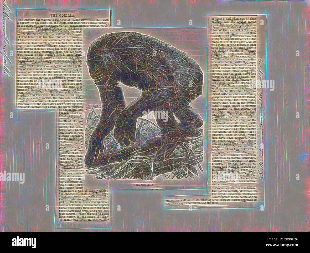 Anthropopithecus hi-res stock photography and images - Alamy