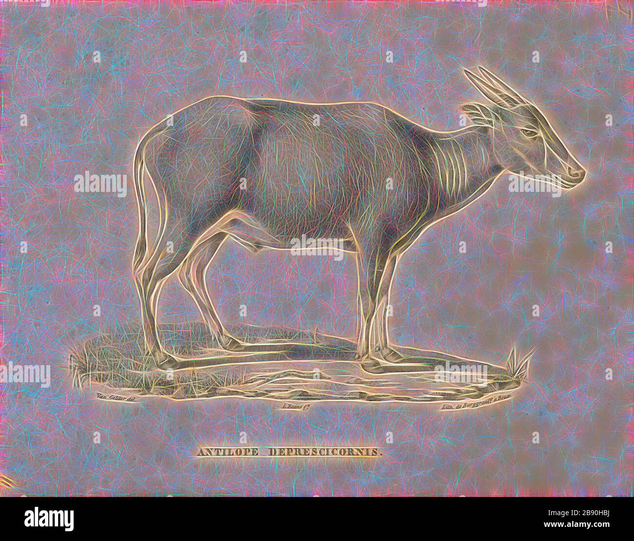 Long ringed horns hi-res stock photography and images - Alamy