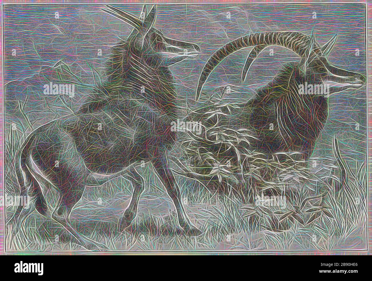Pakistan niger hi-res stock photography and images - Alamy