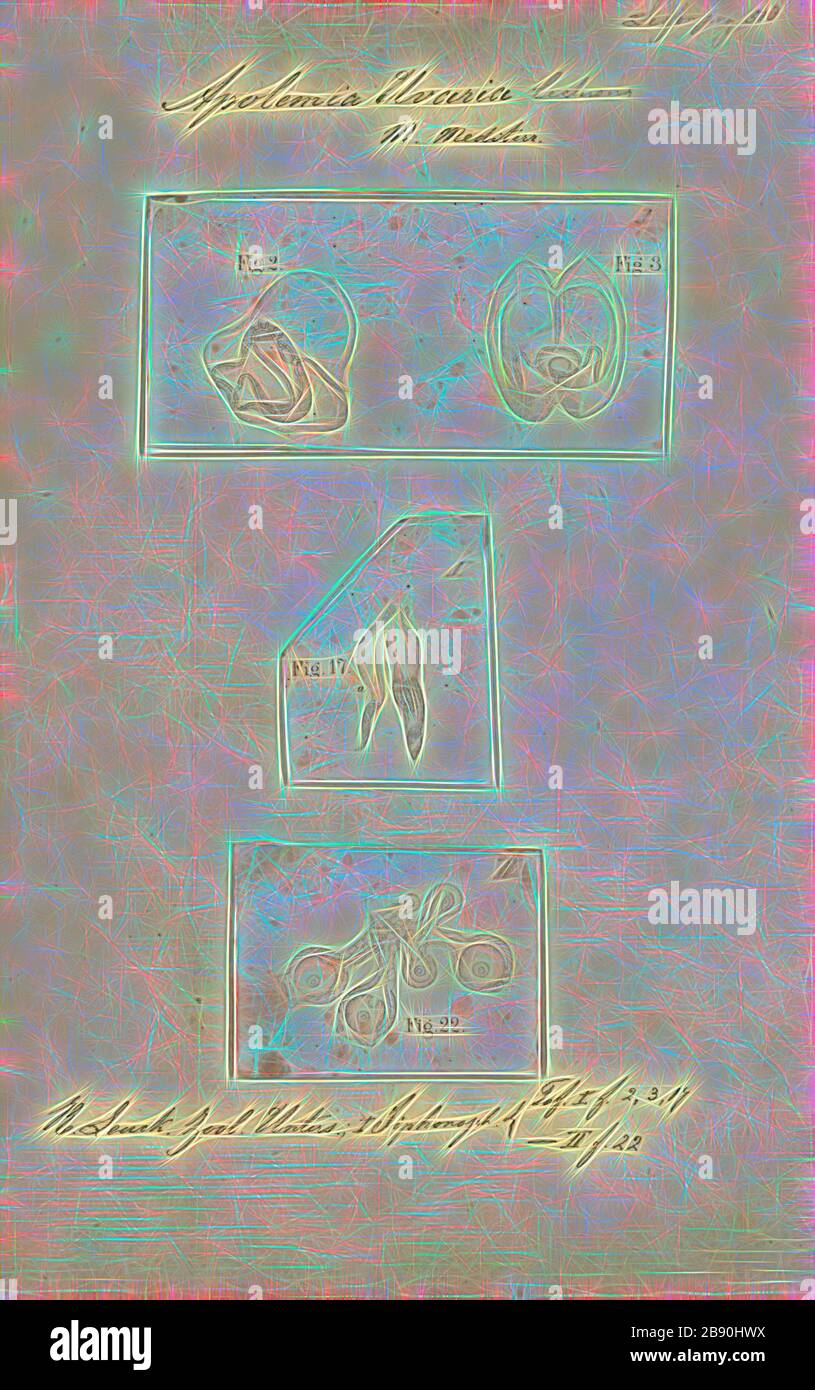 Long stringy stringy thingy hi-res stock photography and images - Alamy