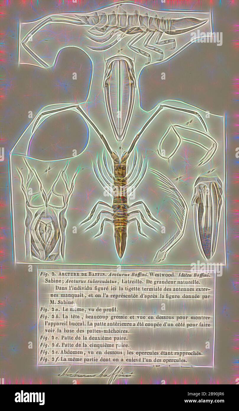 Constellation of bootes hi-res stock photography and images - Alamy