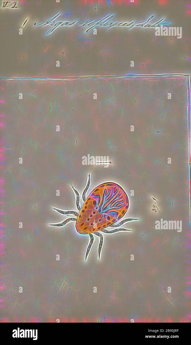 Argas, Print, Argas is a genus of tick., Reimagined by Gibon, design of ...