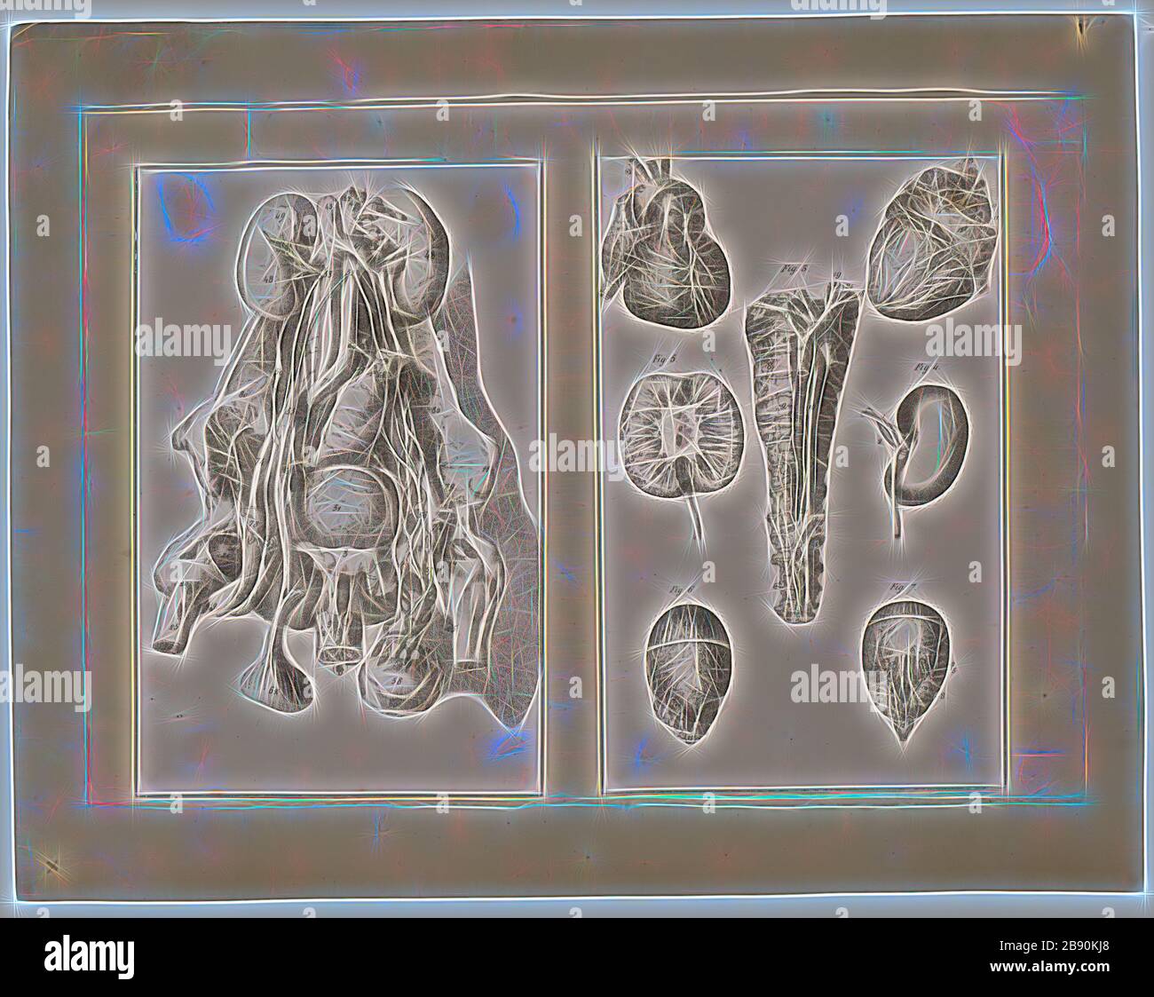 Homo sapiens, Print, Homo sapiens is the only extant human species. The ...