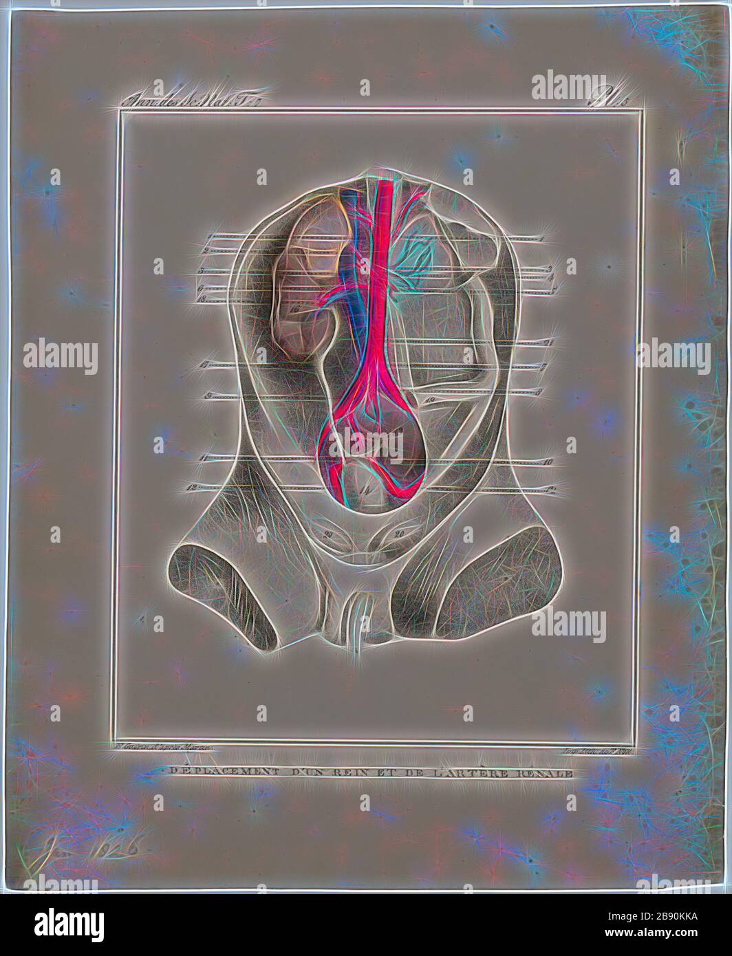 Homo sapiens, Print, Homo sapiens is the only extant human species. The ...