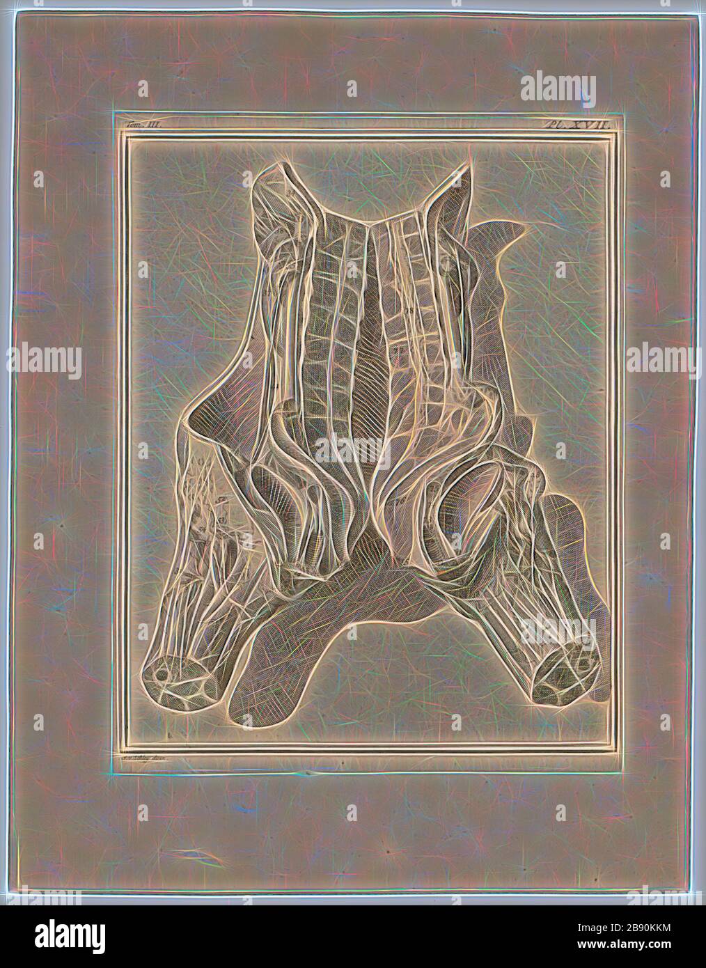 Homo sapiens, Print, Homo sapiens is the only extant human species. The ...
