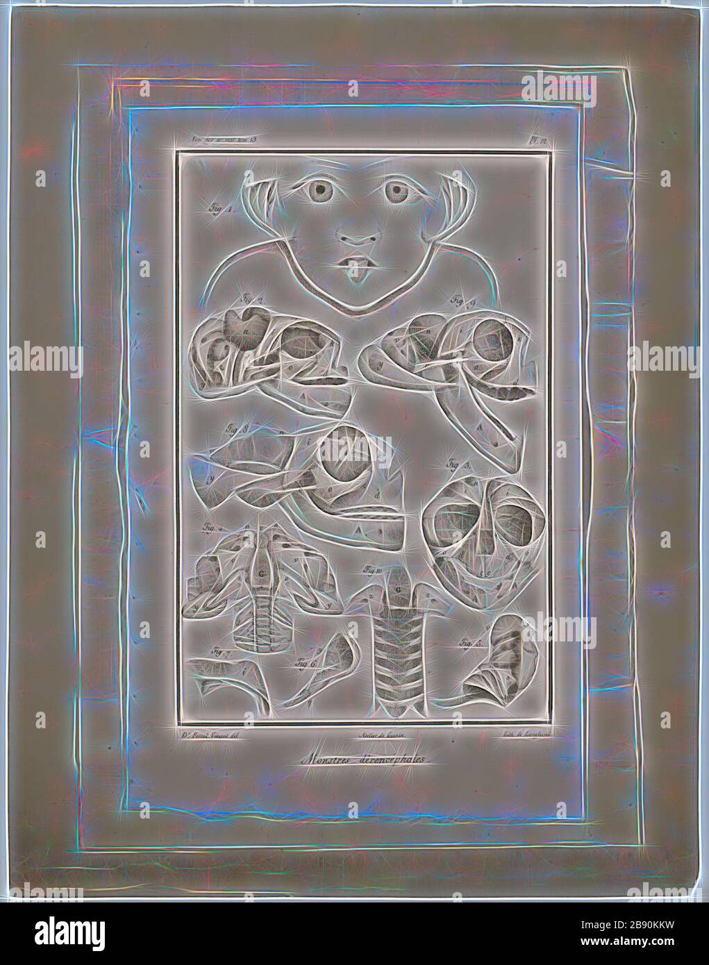 Homo sapiens, Print, Homo sapiens is the only extant human species. The ...