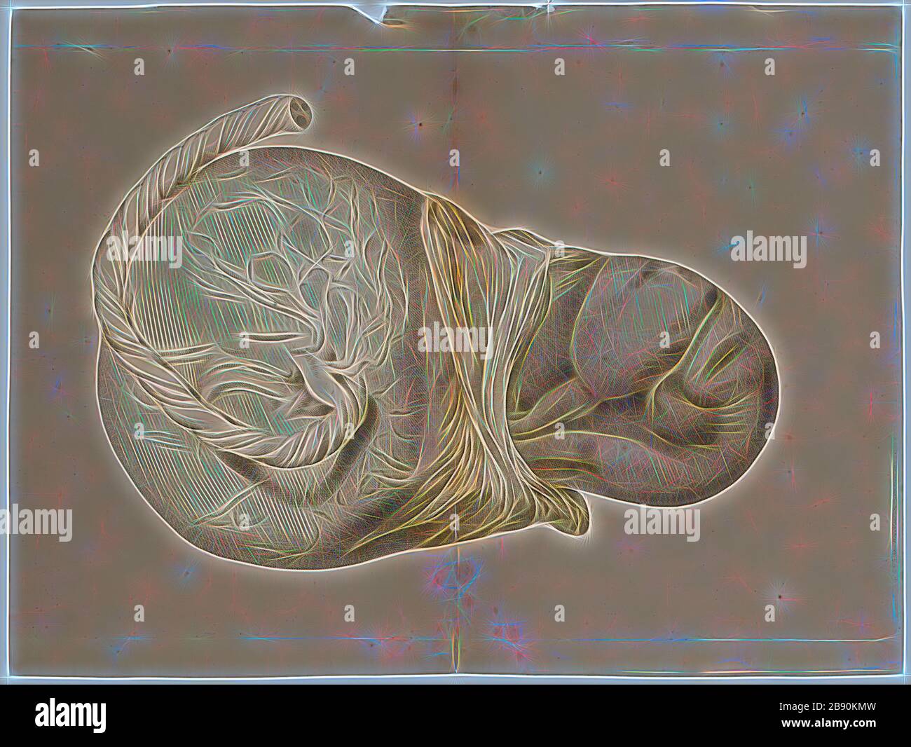 Homo sapiens, Print, Homo sapiens is the only extant human species. The ...
