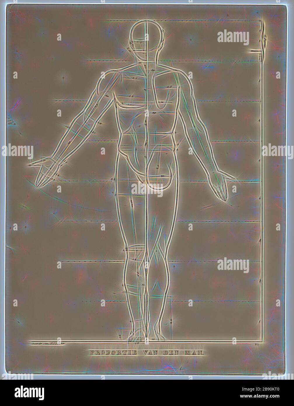 Homo sapiens, Print, Homo sapiens is the only extant human species. The ...