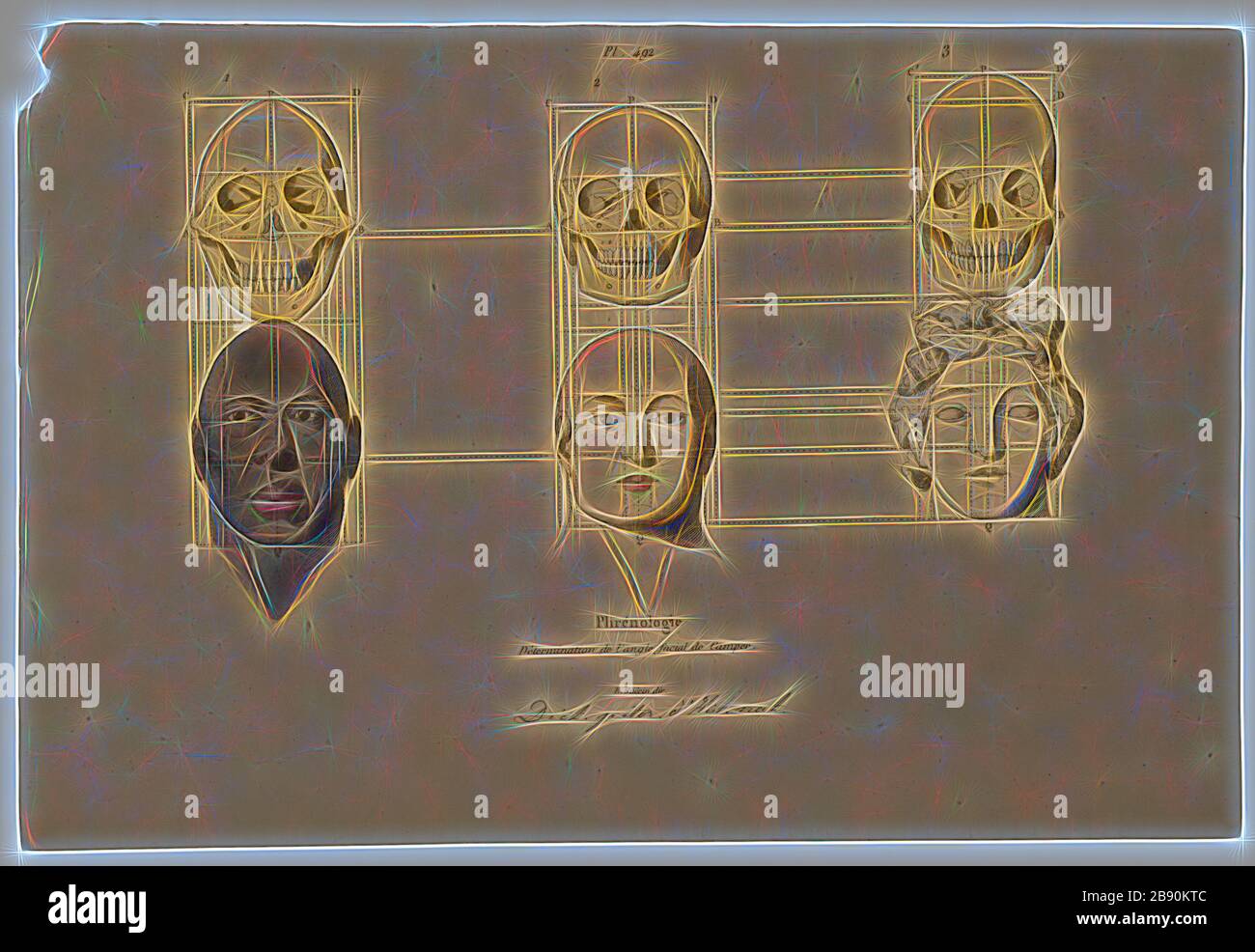 Homo sapiens, Print, Homo sapiens is the only extant human species. The ...