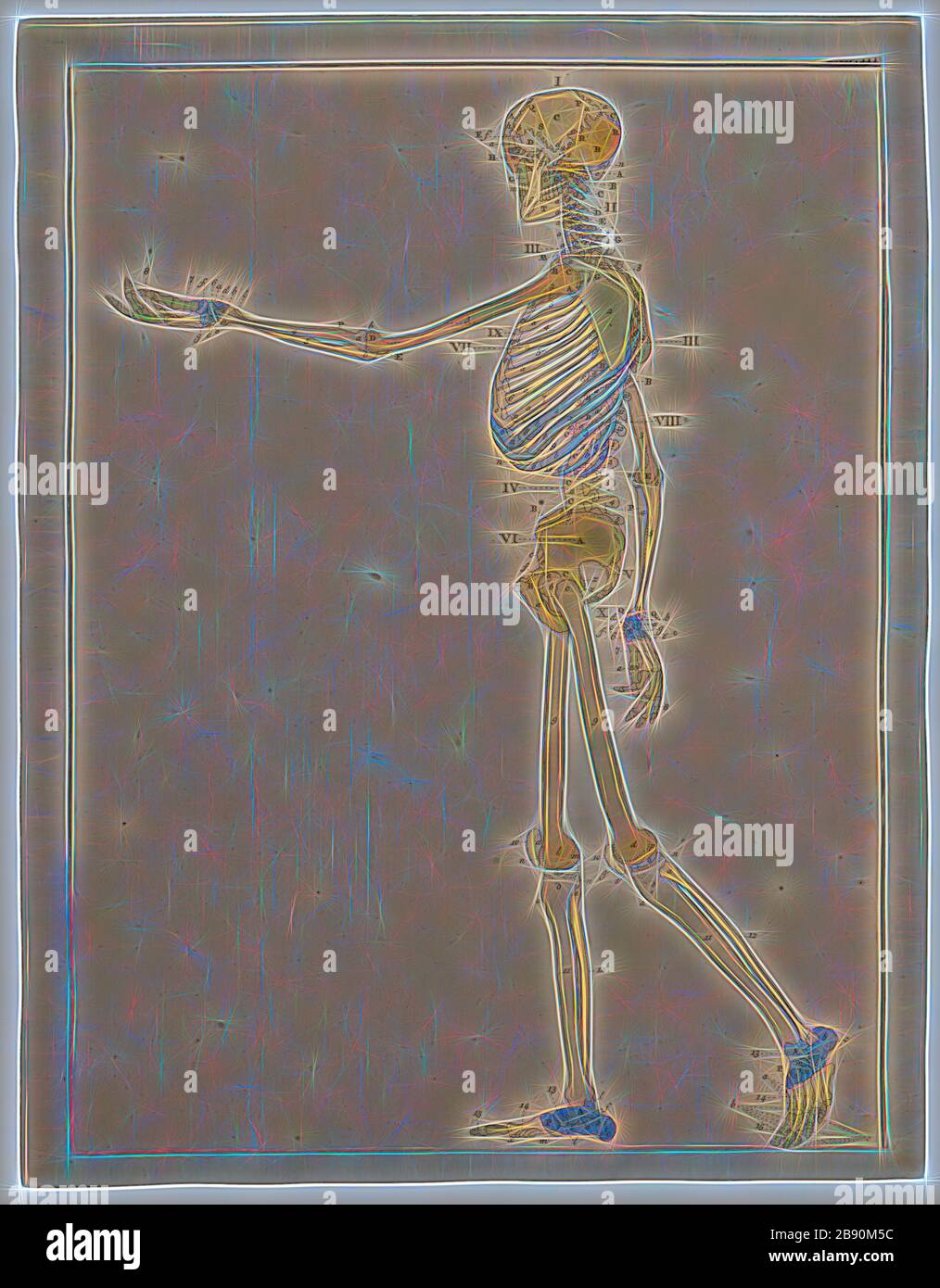 Homo sapiens, Print, Homo sapiens is the only extant human species. The ...