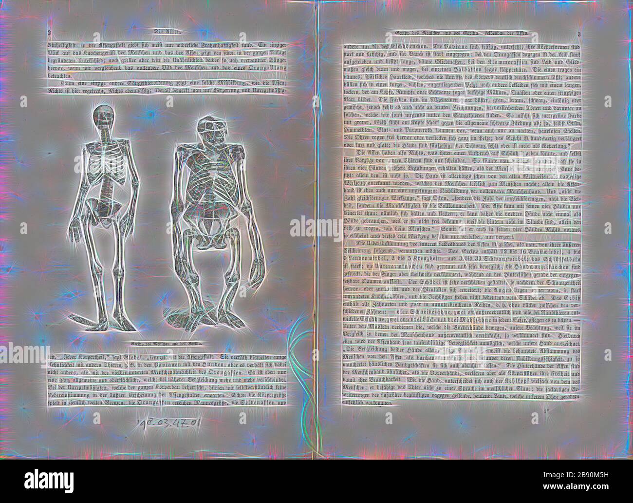 Homo sapiens, Print, Homo sapiens is the only extant human species. The ...