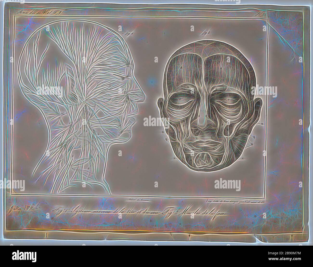 Homo sapiens, Print, Homo sapiens is the only extant human species. The ...