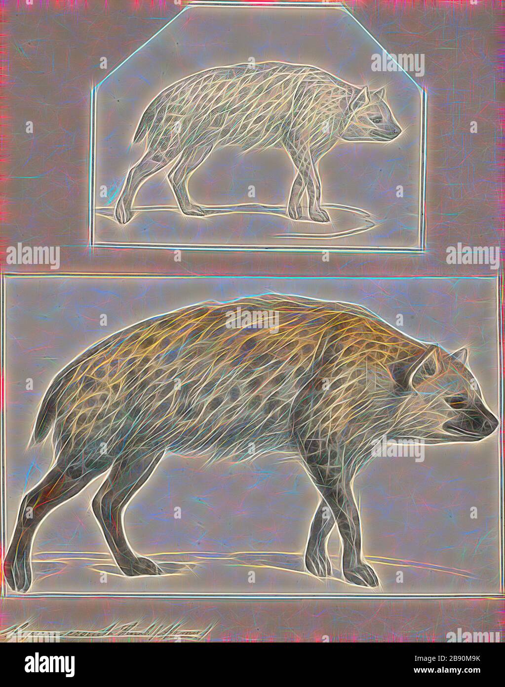 Otherwise fossil genus pachycrocuta hi-res stock photography and images ...