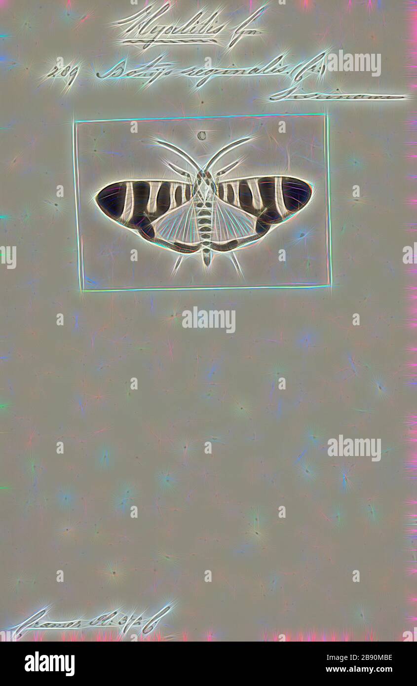 Hyalitis, Print, Reimagined by Gibon, design of warm cheerful glowing ...