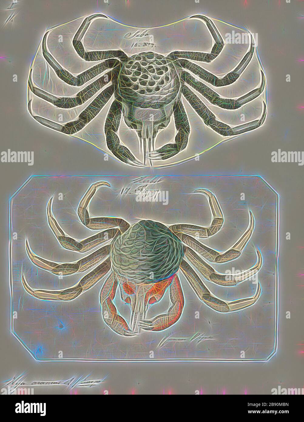 Spider crab in art hi-res stock photography and images - Alamy