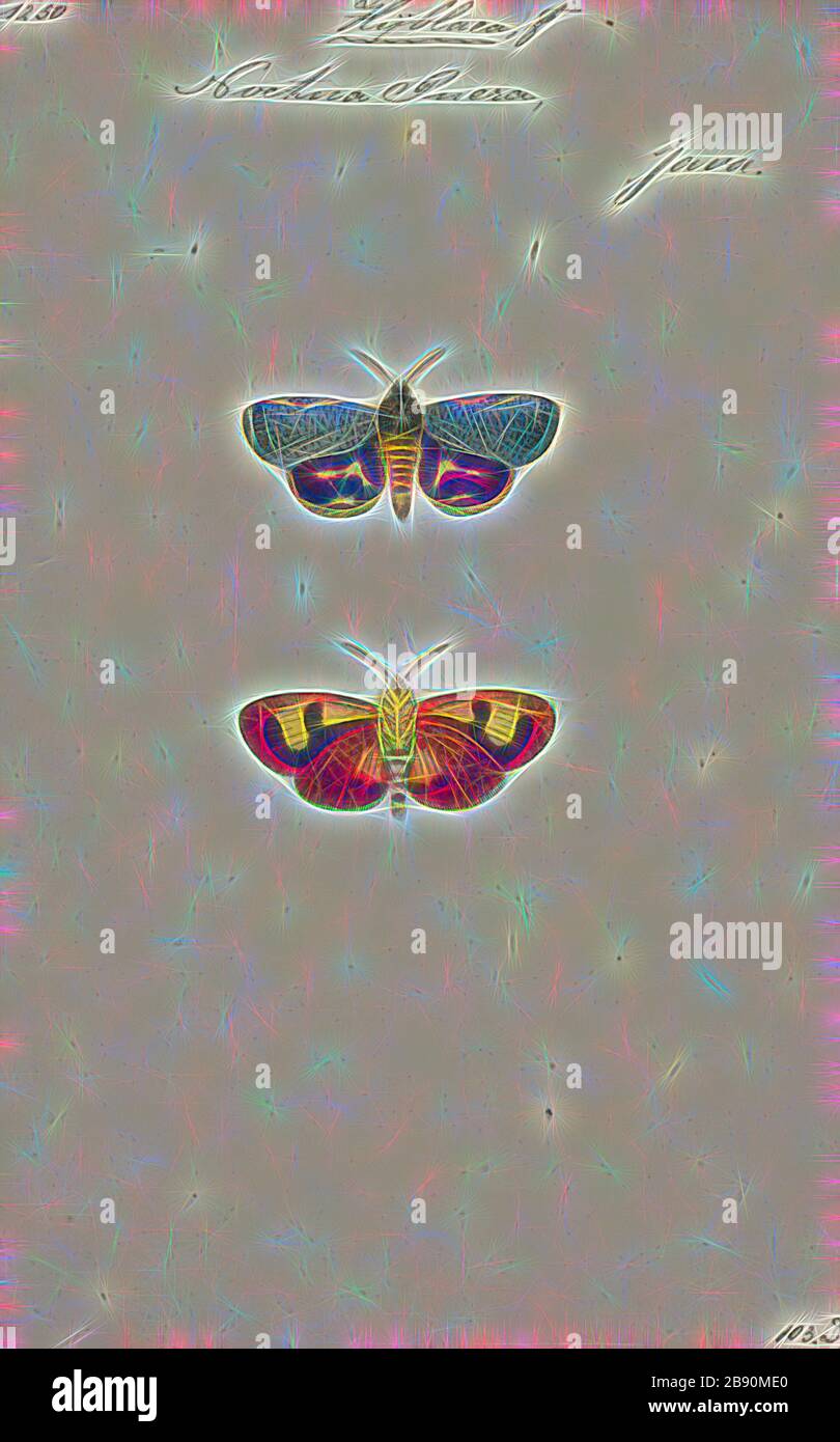 Hyblaea, Print, Hyblaea is a genus of moths of the family Hyblaeidae ...