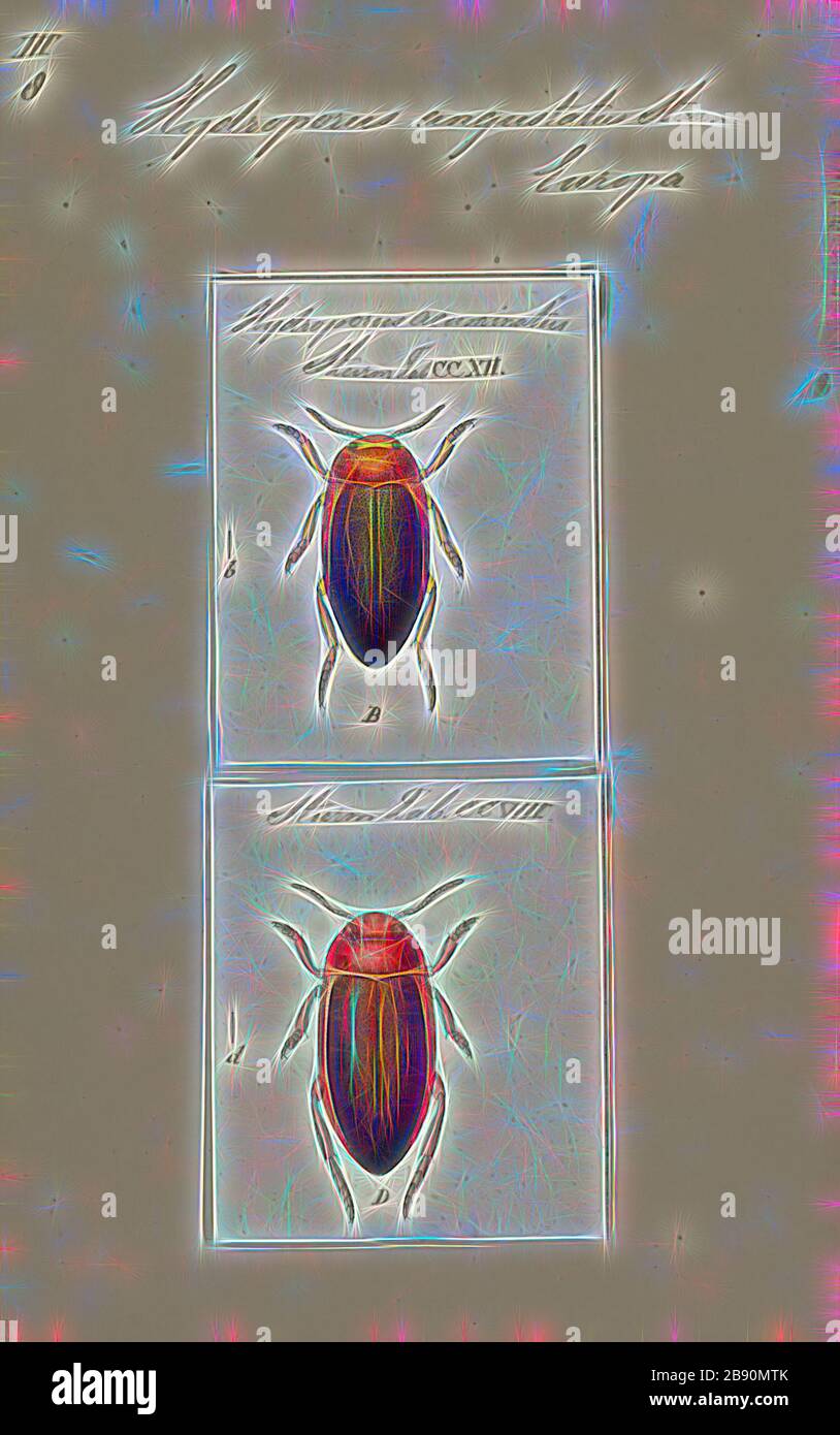 Hydroporus, Print, Hydroporus is a genus of water beetles native to the ...