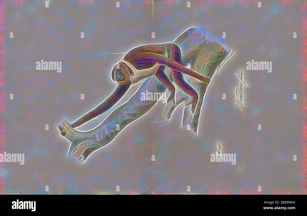 Hylobates variegatus, Print, The genus Hylobates is one of the four ...