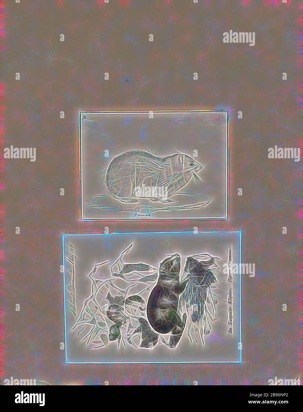 Rotund animals hi-res stock photography and images - Alamy