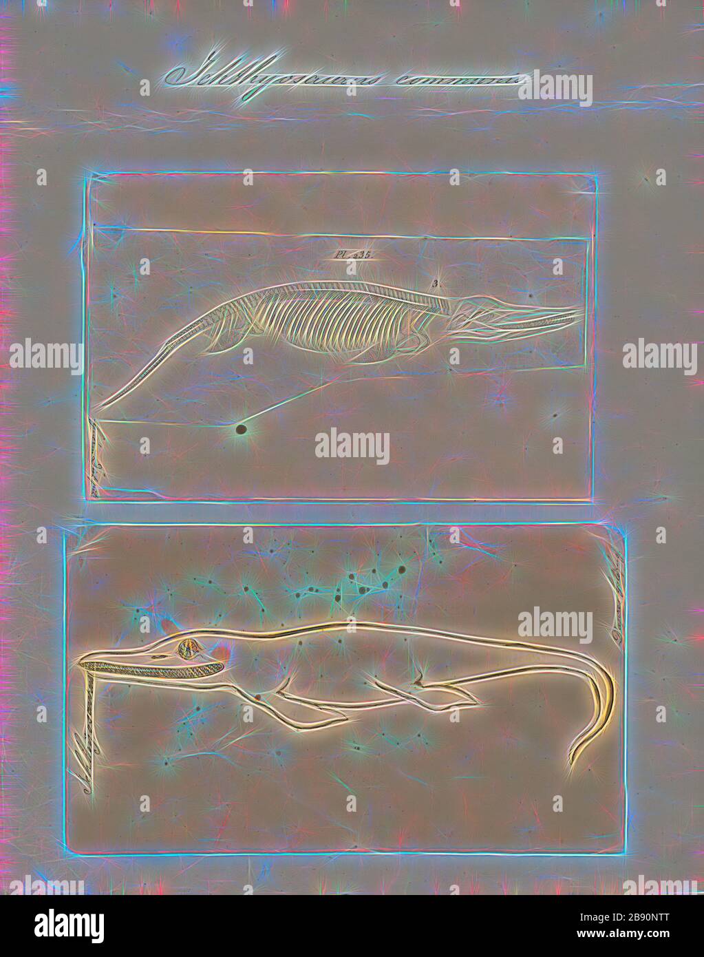 Ichthyosaurus communis, Print, Ichthyosaurus (derived from Greek ιχθυς ...