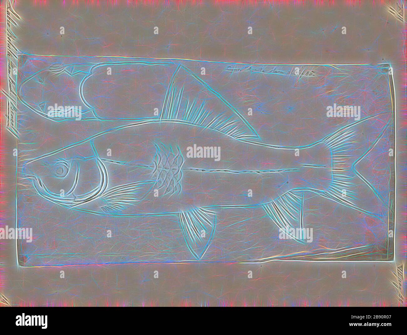 Labeo rohita hi-res stock photography and images - Alamy