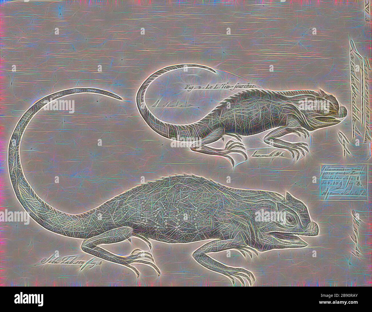 Lacerta scutata, Print, 1700-1880, Reimagined by Gibon, design of warm ...