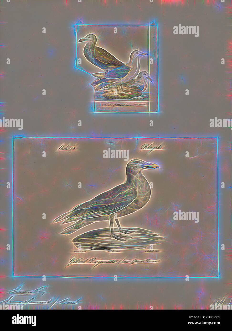 Glaucus greek hi-res stock photography and images - Alamy