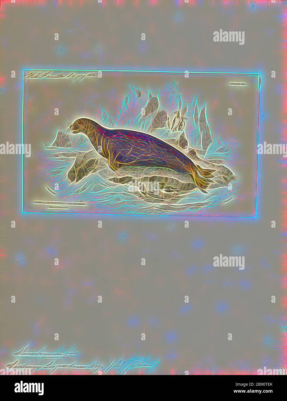 Very small theropod hi-res stock photography and images - Alamy