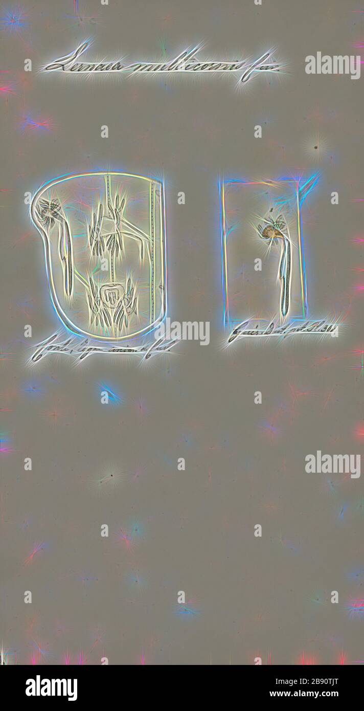 Lernaea multicornis, Print, Lernaea (also incorrectly spelled Lernea ...