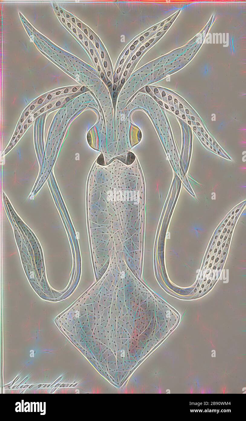 Exploited species hi-res stock photography and images - Alamy