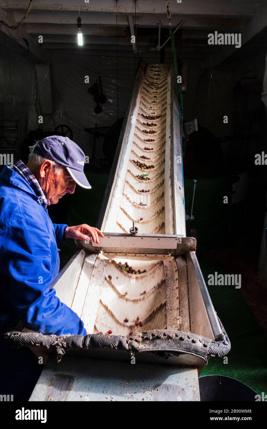 Traditional oil grinder hi-res stock photography and images - Alamy