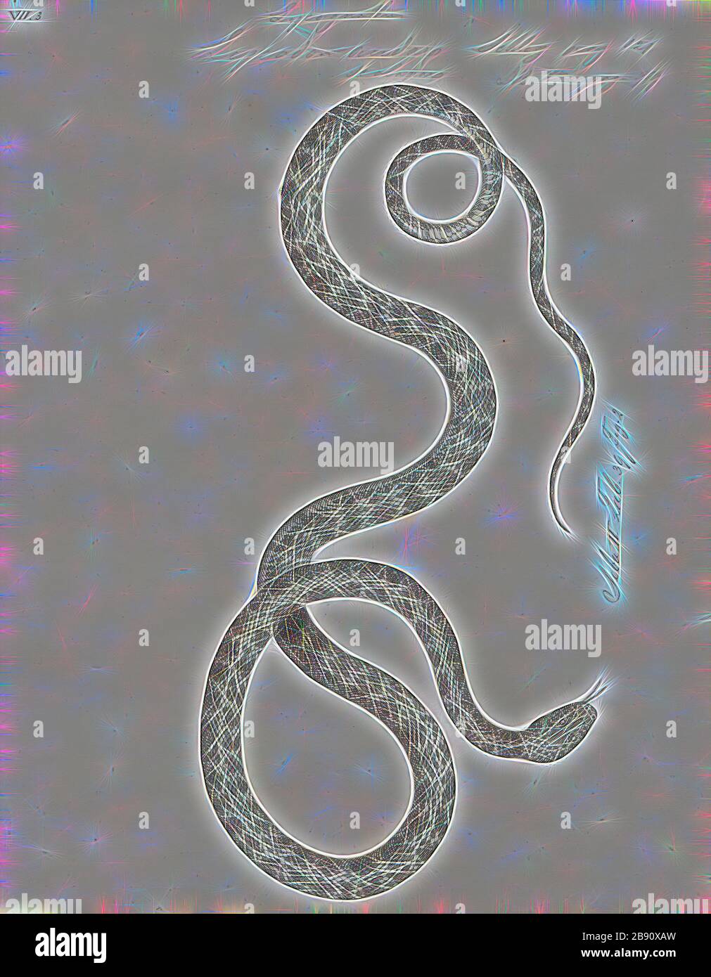 Lykos hi-res stock photography and images - Alamy