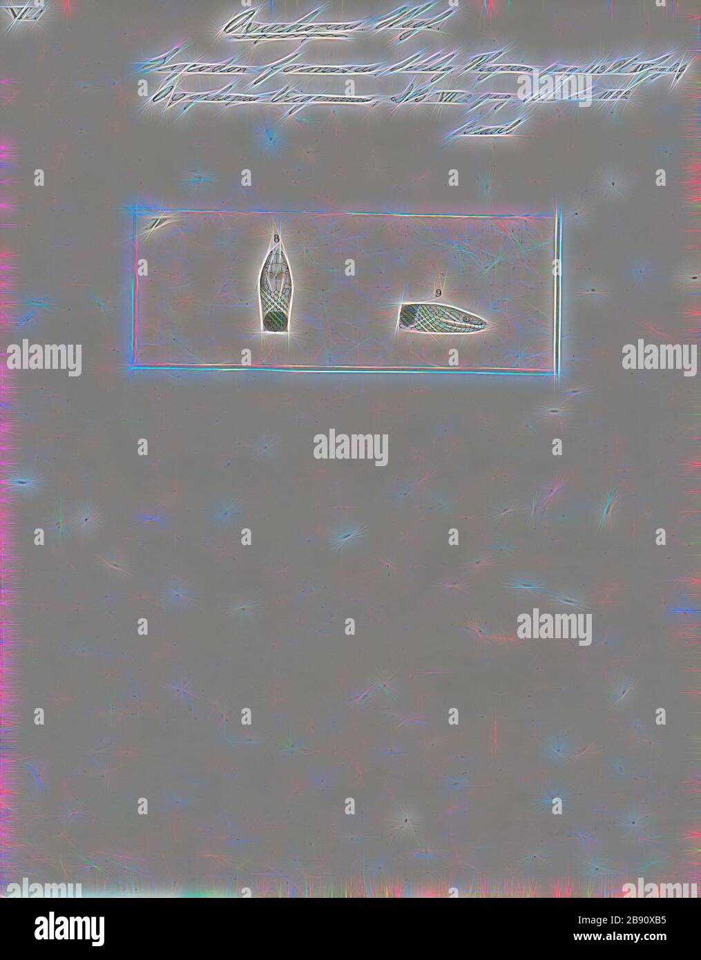 Lycodon formosus, Print, Lycodon subcinctus, Malayan banded wolfsnake ...