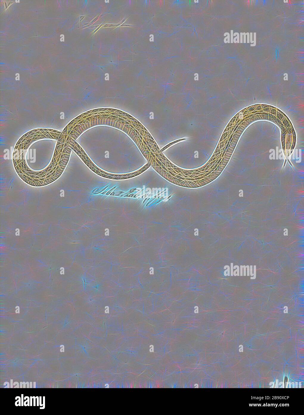 Lycodon spec hi-res stock photography and images - Alamy