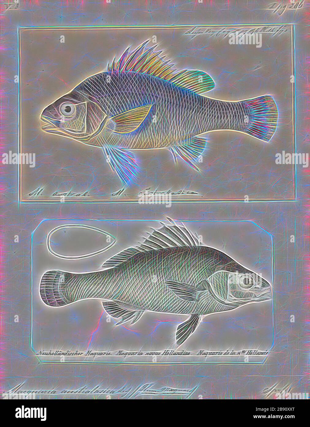 The darling river system hi-res stock photography and images - Alamy