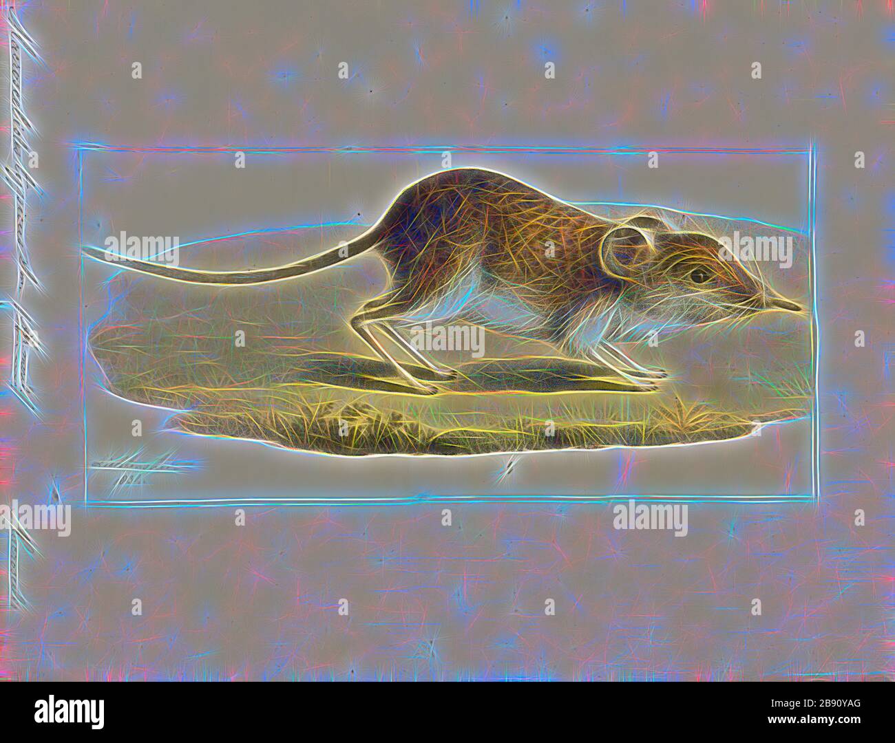 Round eared hi-res stock photography and images - Alamy