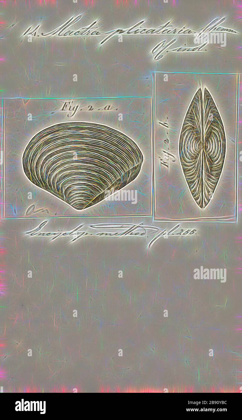 Trough shells hi-res stock photography and images - Alamy