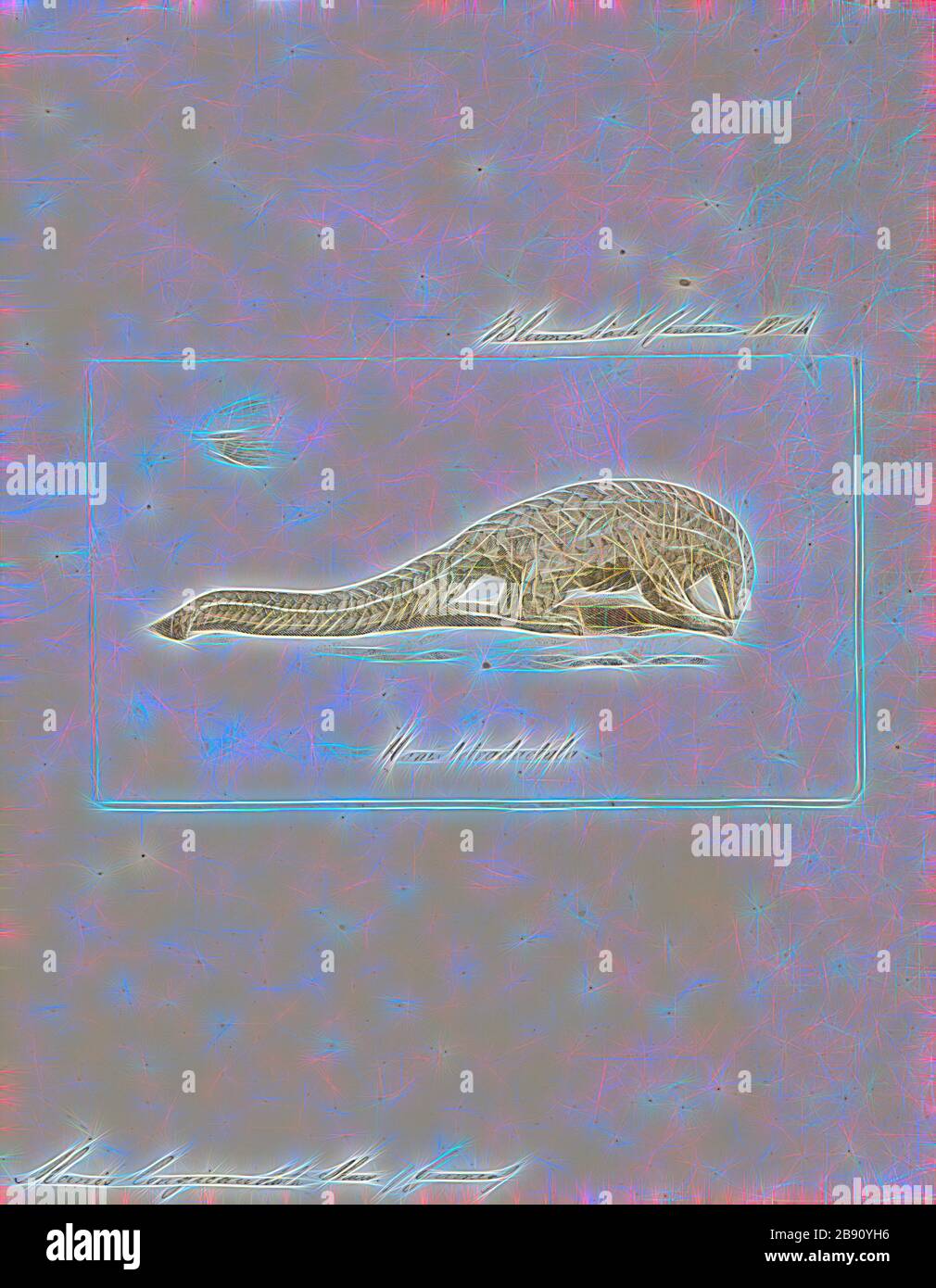 Black bellied pangolin or black bellied pangolin hi-res stock ...