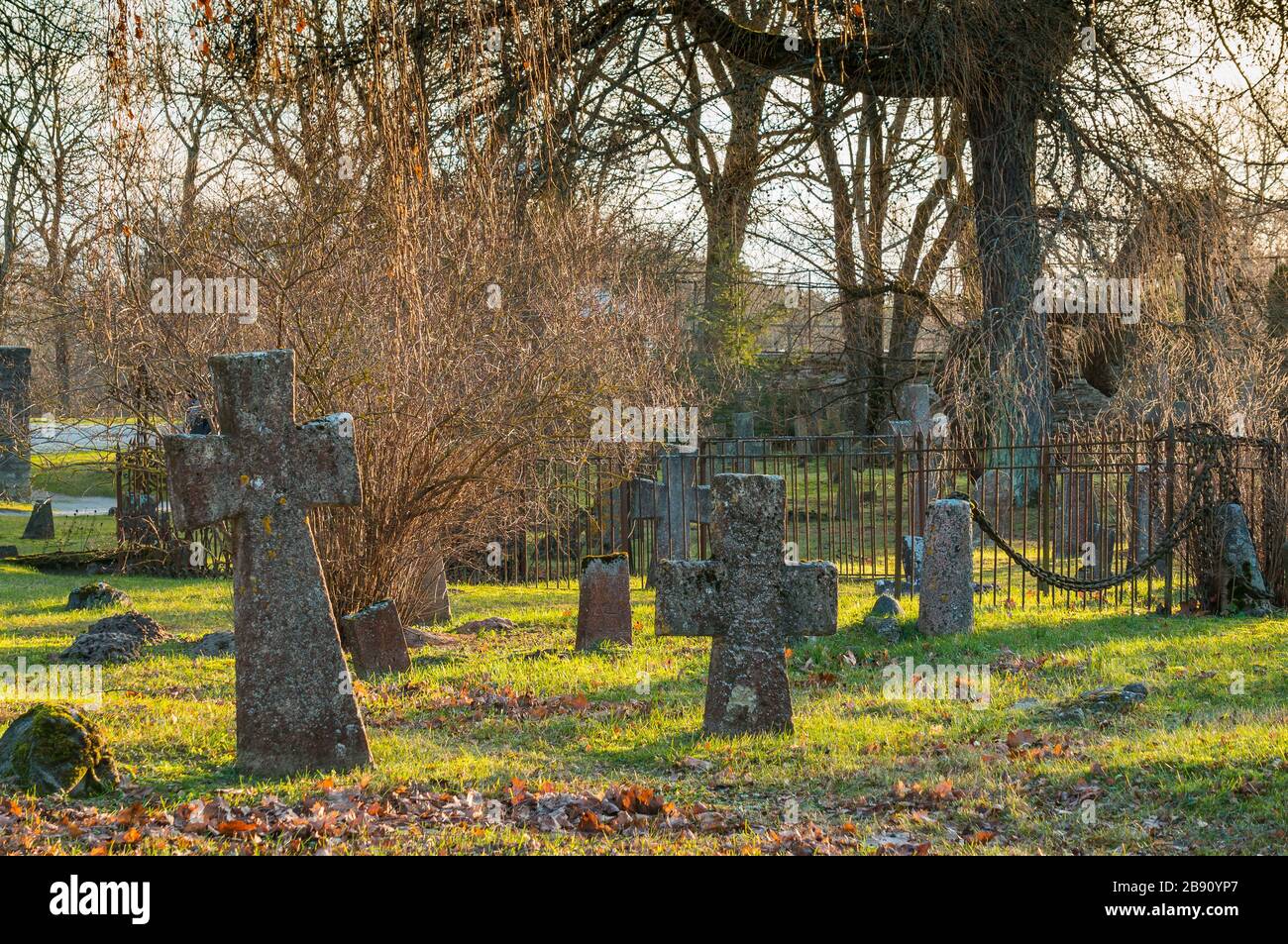 The old cemetery of the Catholic monastery of the Order of St. Brigitte ...