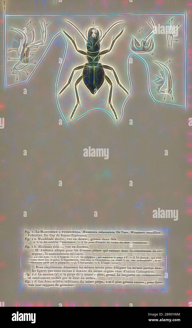 Mantichora, Print, Reimagined by Gibon, design of warm cheerful glowing ...