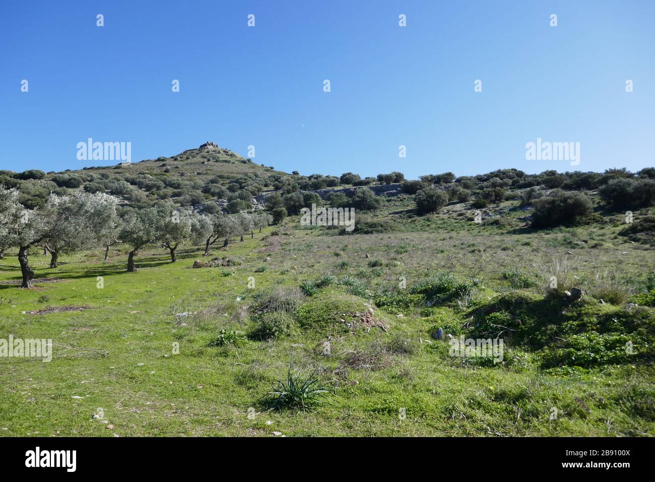 Archaeological Site of Thorikos, Greece Stock Photo - Alamy
