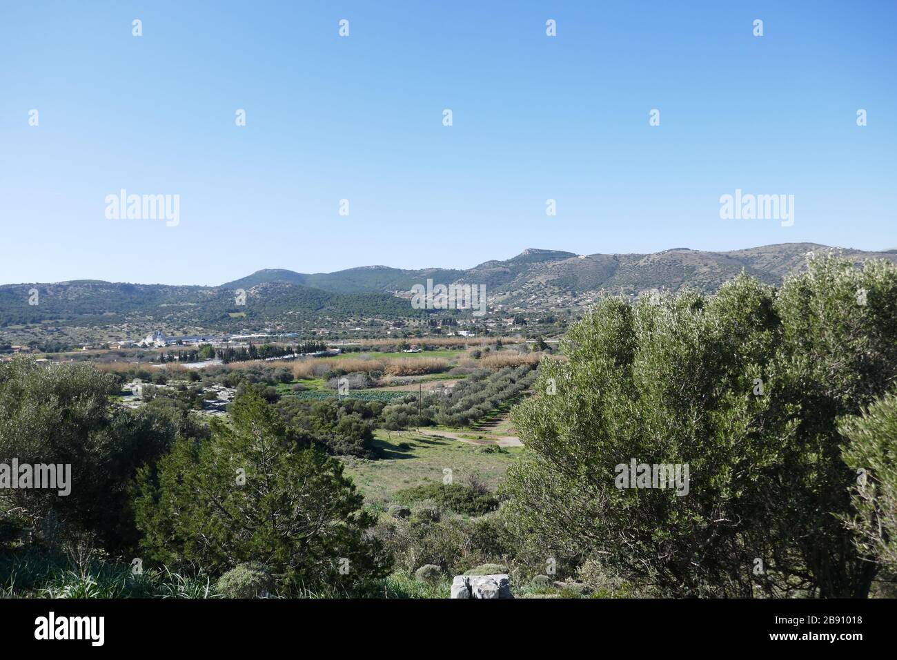 Archaeological Site of Thorikos, Greece Stock Photo - Alamy