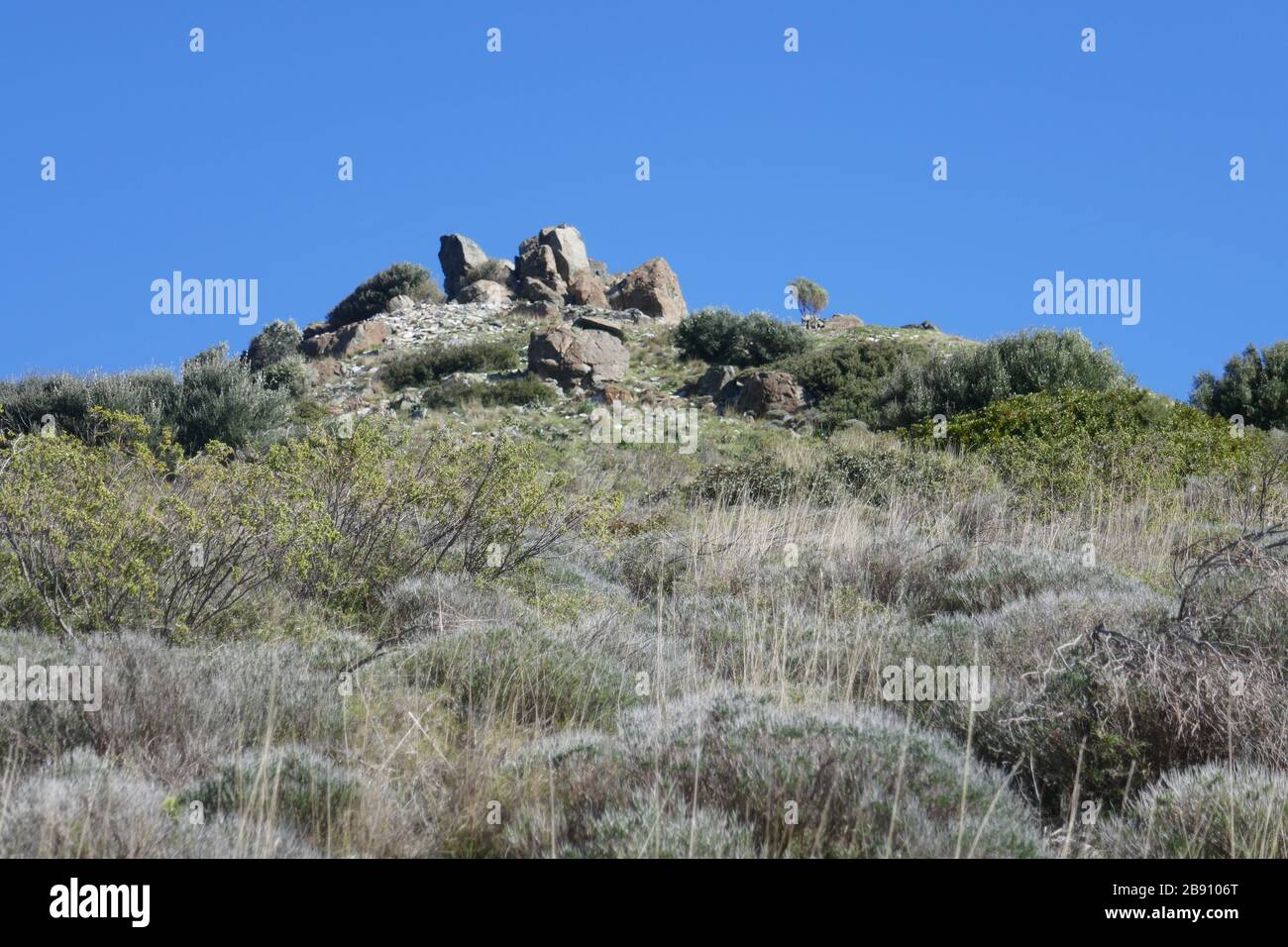 Archaeological Site of Thorikos, Greece Stock Photo - Alamy