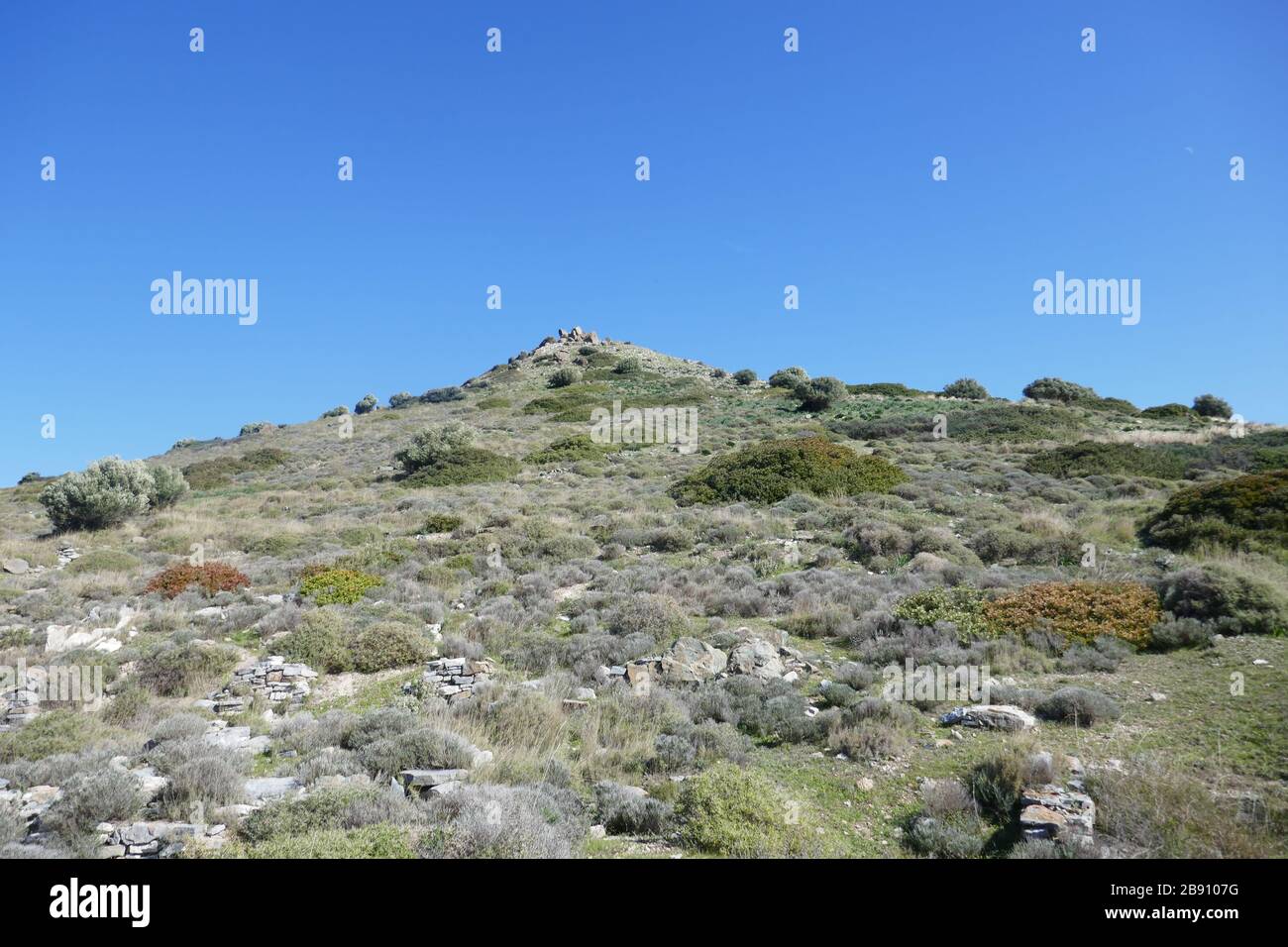 Archaeological Site of Thorikos, Greece Stock Photo - Alamy