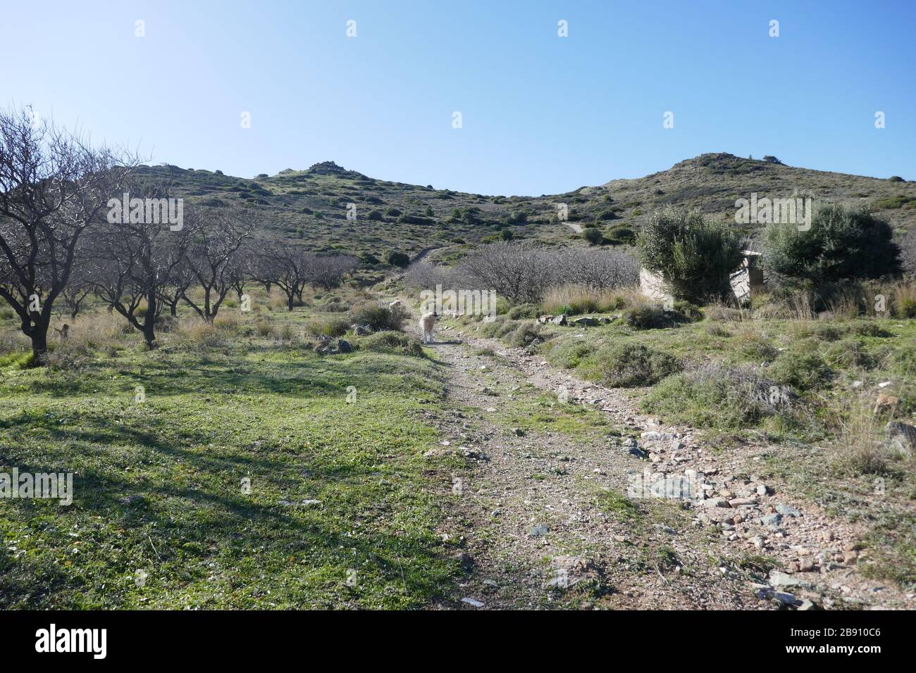 Ancient theatre thorikos hi-res stock photography and images - Alamy