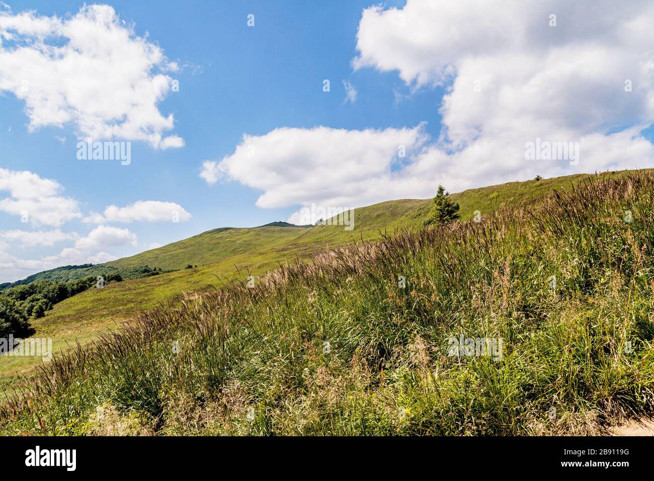 The road from Mieczysław Orłowicz Pass to Smerek Peak in the Bieszczady ...